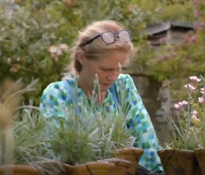 The Art of the Garden - Tania Compton, Fonthill House - Fonthill